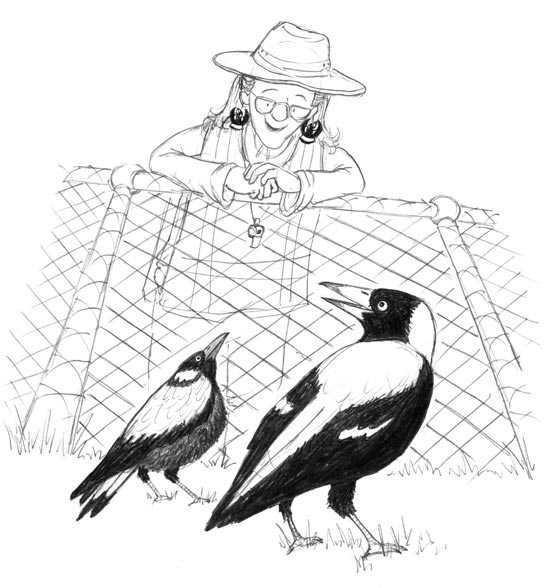 Amity Kids Adventures, Book 1 – Magpie Mischief – James Foley