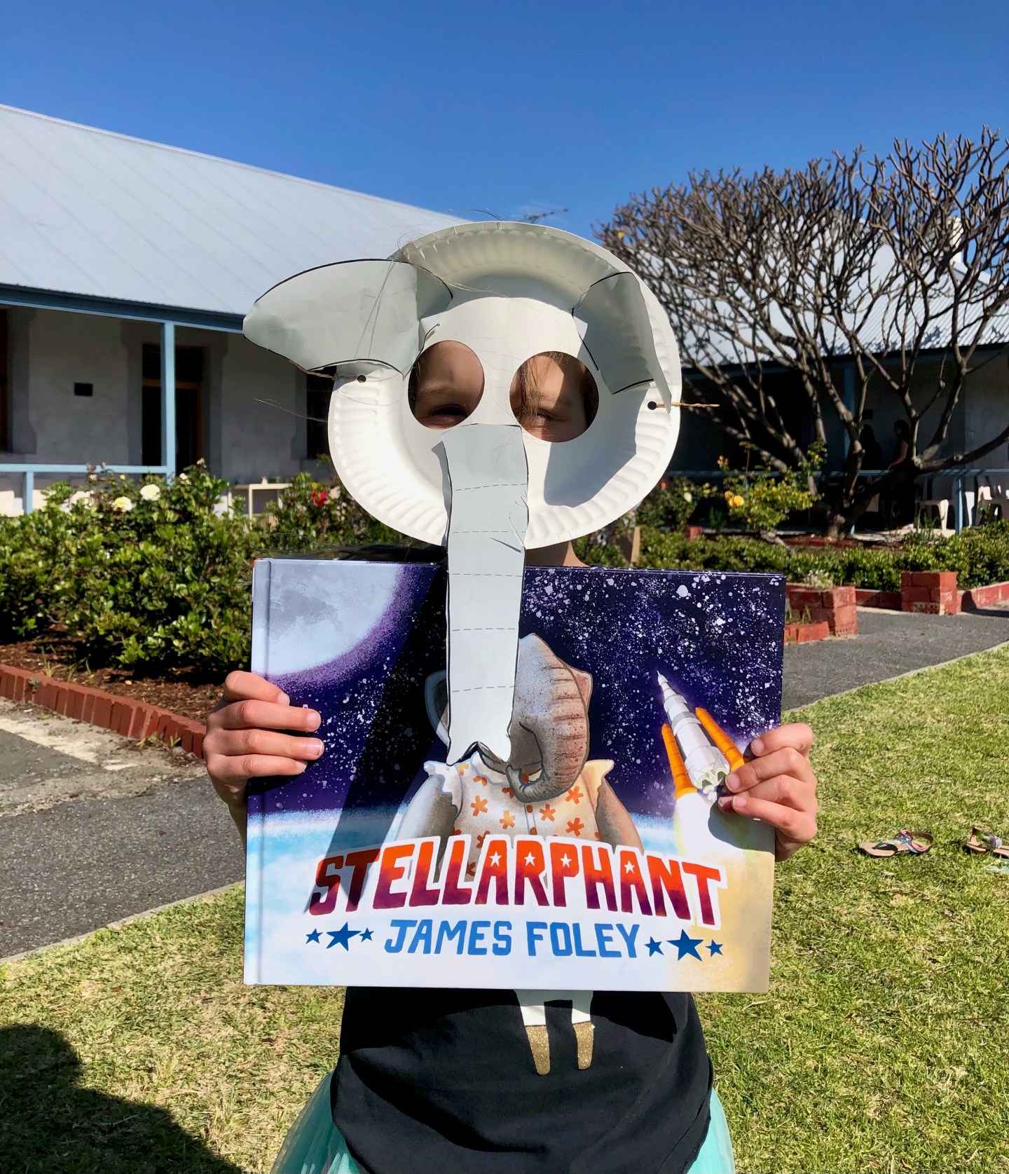 Stellarphant – teacher resources – James Foley